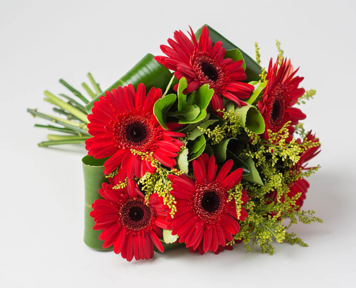 Buquê de 6 Gérberas de Mesma Cor | Isabela Flores